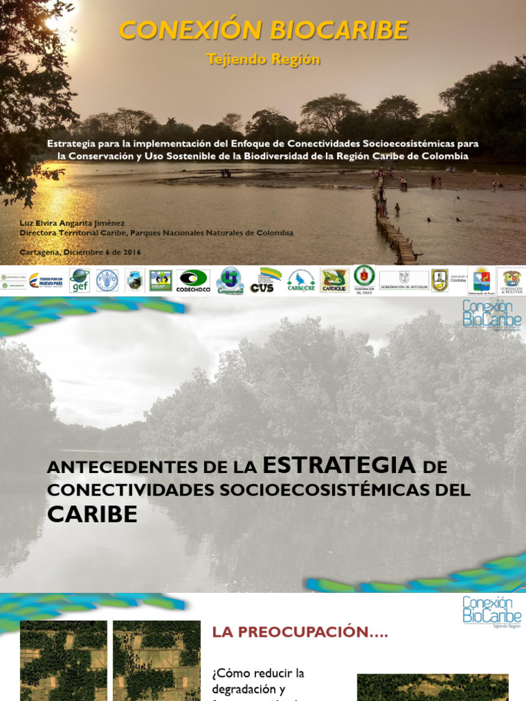 Estrategia de Conectividad en Biocaribe | PDF | Colombia | Biodiversidad