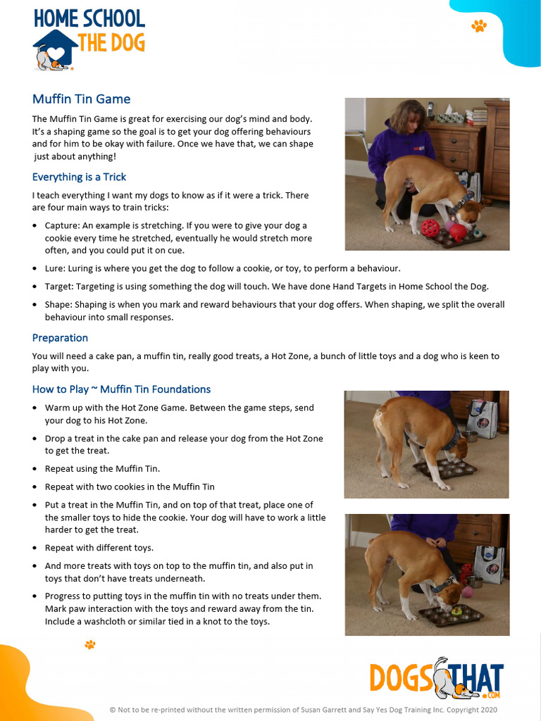 Susan Garrett Muffin Tin Game | PDF | Dog Training