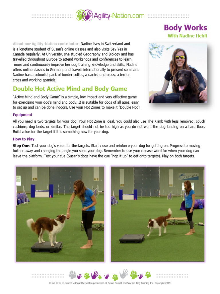 Agility Nation Double Hot Active Mind and Body Game | PDF | Dogs | Dog ...