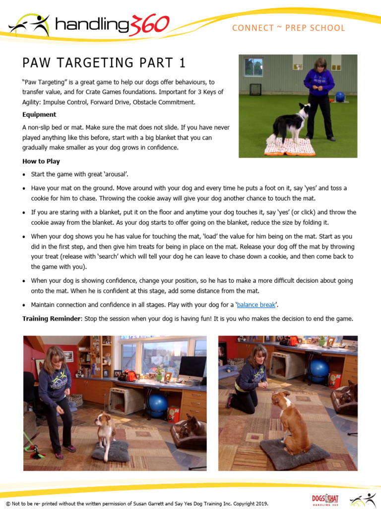 H360 Connect Paw Targeting | PDF | Dogs