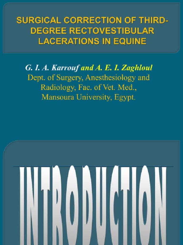 Surgical Correction of 3rd Digree of Rectovestibular Laceration in ...