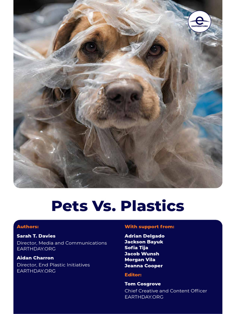 Pets vs Plastics Report | PDF | Plastic | Polyvinyl Chloride