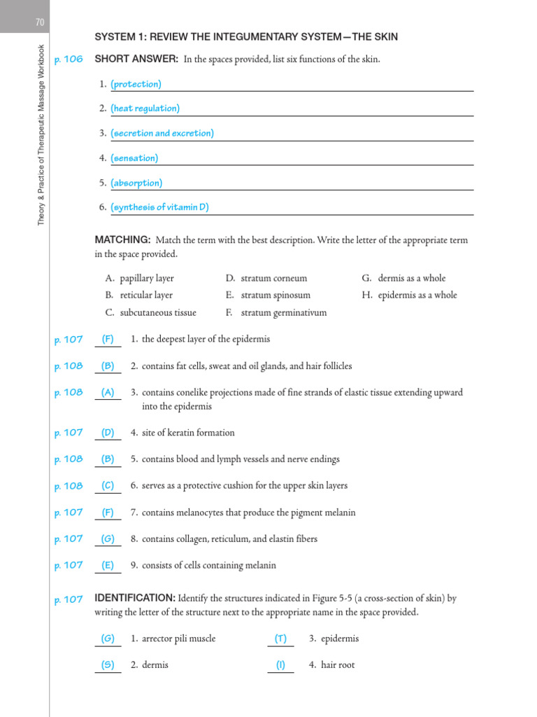 WORKBOOK ANSWERS CHAPTER 5 - INTEGUMENTARY SYSTEM | PDF | Skin ...