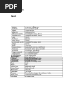 Basic Tempo Markings | PDF | Tempo | Musical Compositions