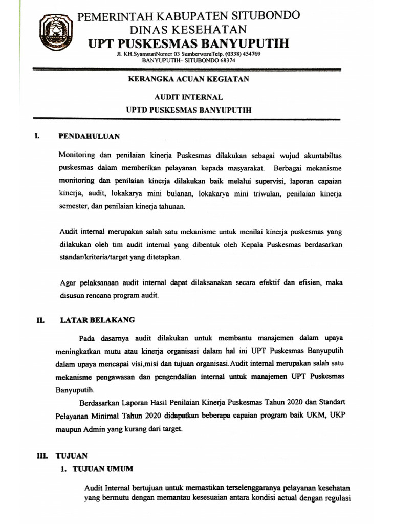 KAK audit | PDF