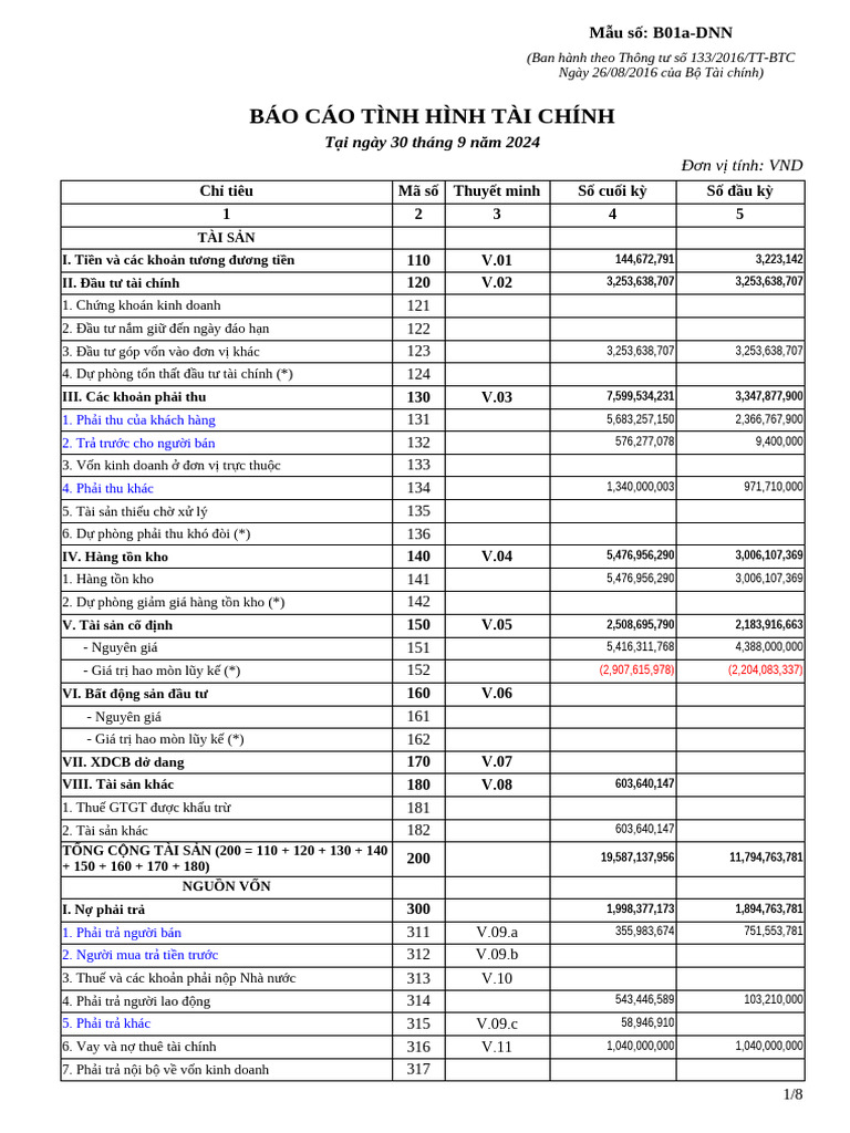 B01a DNN Bao Cao Tinh Hinh Tai Chinh | PDF