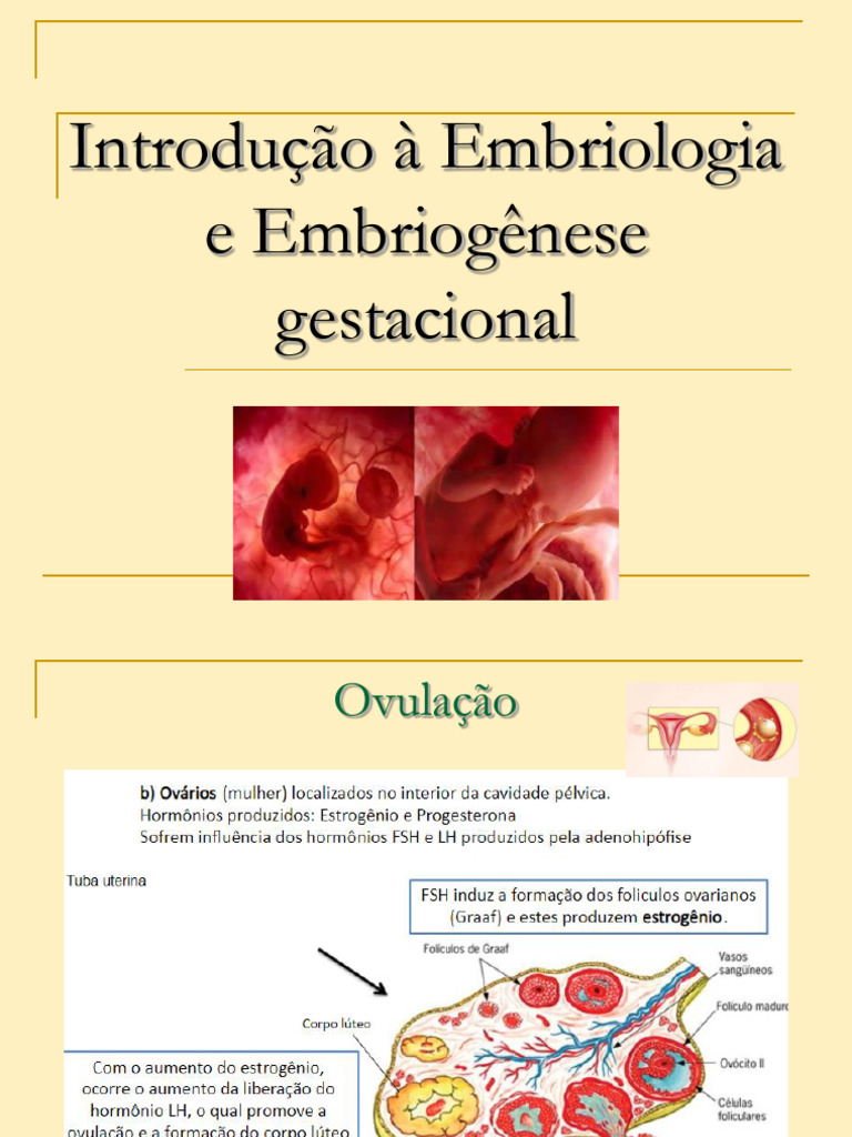 Embriologia e Embriogênese Gestacional 2022.2 | PDF | Placenta | Gravidez