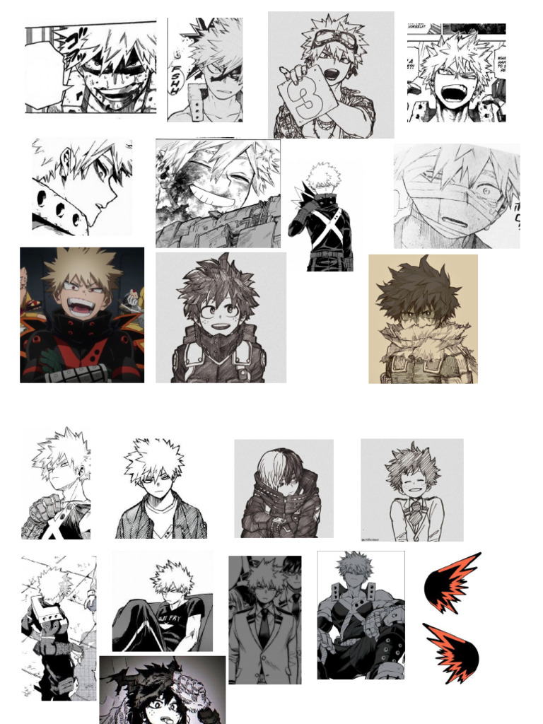 BNHA | PDF