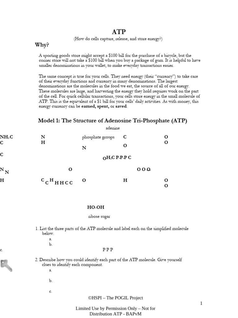 ATP Energy Cycle and Hydrolysis | PDF | Adenosine Triphosphate ...