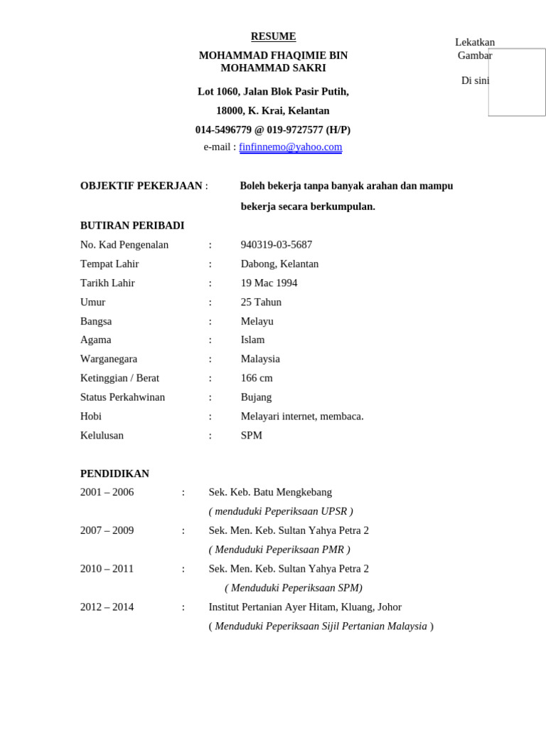 Contoh Resume Terbaik 1 | PDF