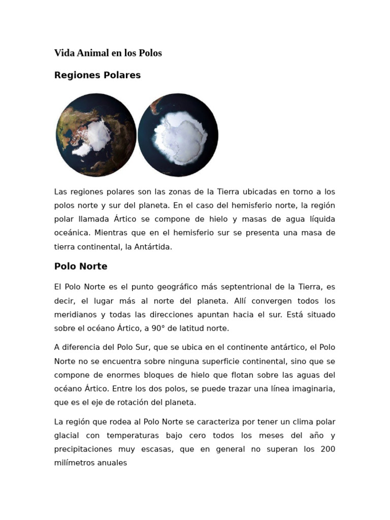 Vida Animal en Los Polos | PDF | Polo Sur | Tierra