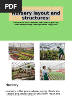 Layout of A Nursery | PDF | Plant Nursery | Horticulture