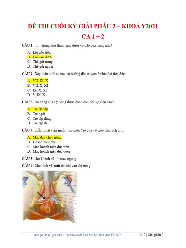Đề Thi Cuối Kỳ Giải Phẫu 2 - Khoá Y2021 CA 1 + 2: Ban gõ lại đề: gia đình 11 bé báo thoát Y và ...