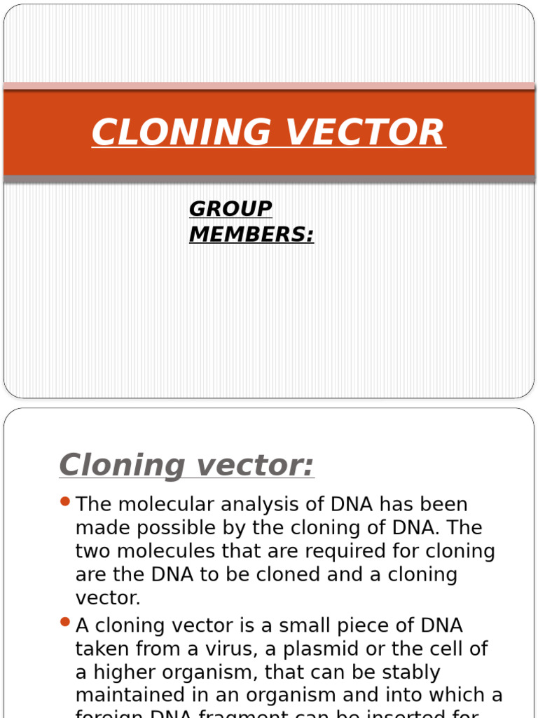 Cloning Vector | PDF | Plasmid | Molecular Cloning