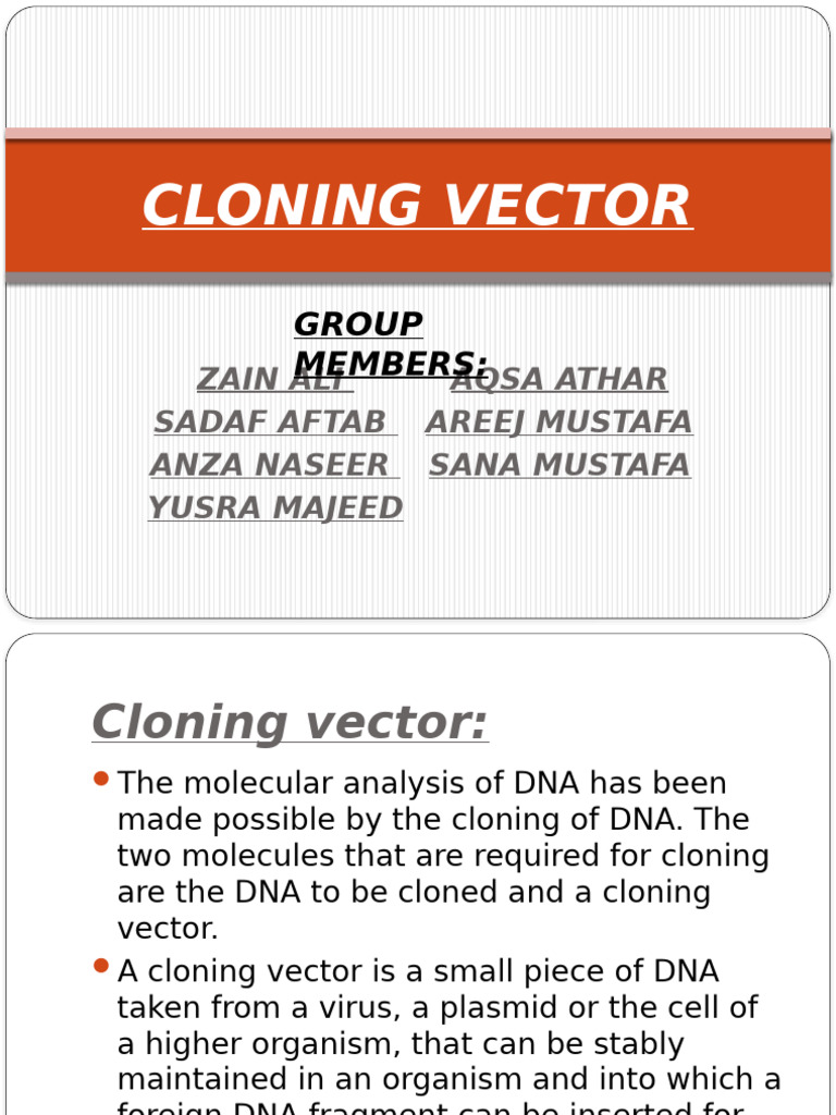 Cloning Vector FINAL | PDF | Plasmid | Molecular Cloning