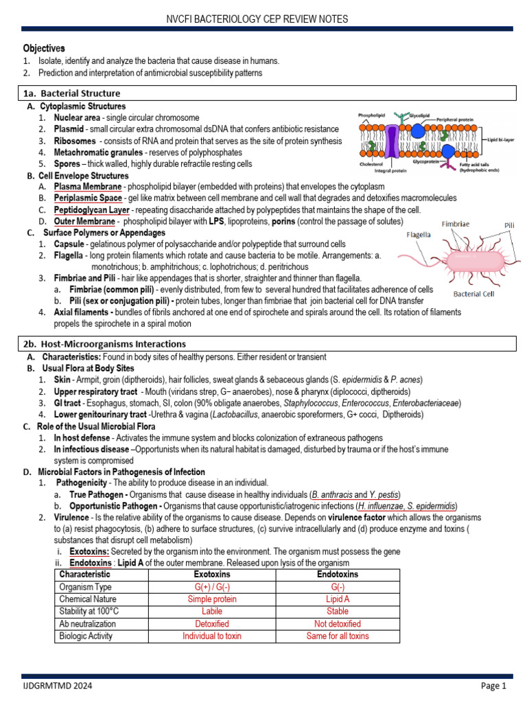 Bacteriology Review Notes for NVCFI 2024 | PDF | Streptococcus | Staining