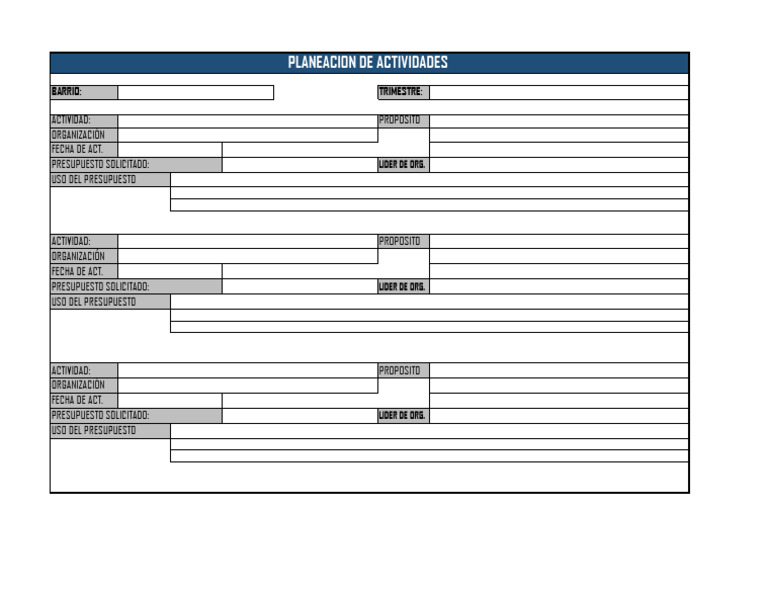 Planeaccion de Actividades y Ppto | PDF