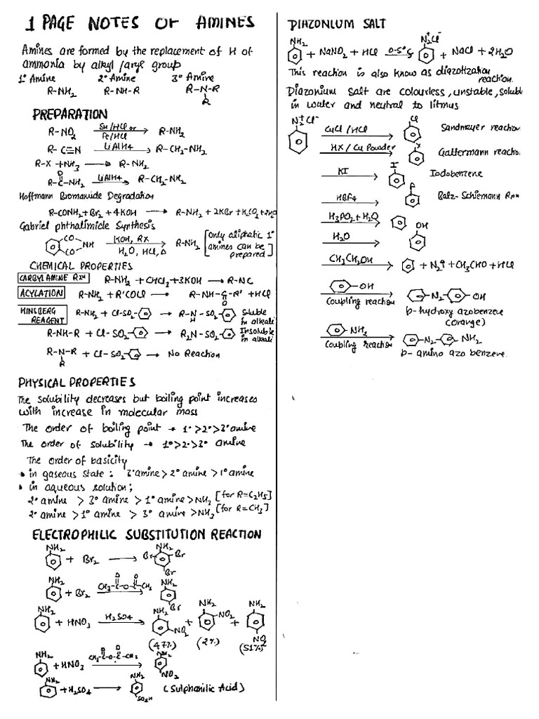 Amines 1 page | PDF