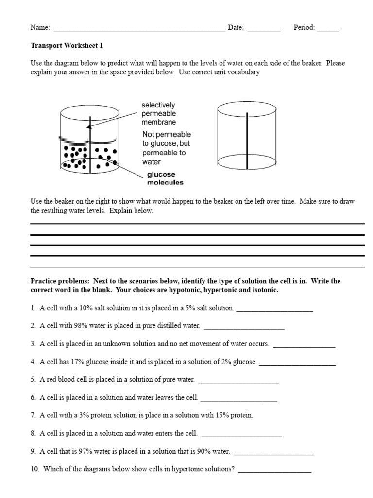 Cell Transport Worksheet 1 | PDF