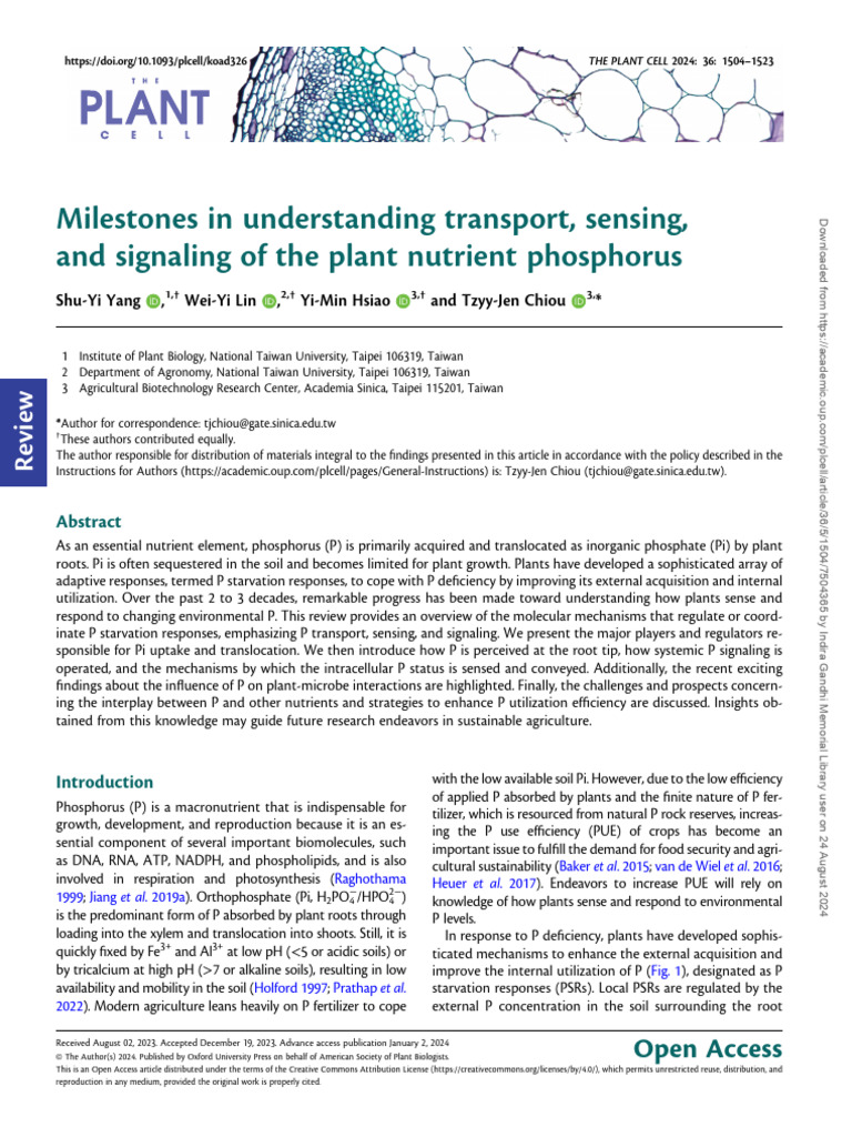 Pi Milestone TPC 2024 | PDF | Signal Transduction | Root