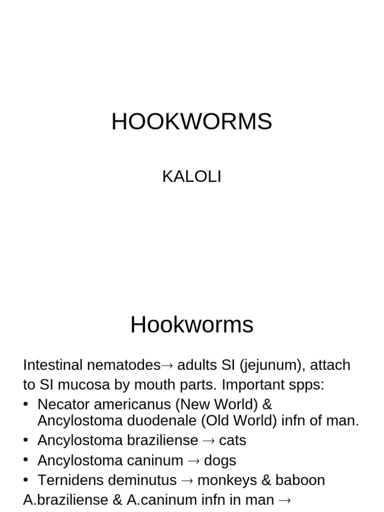20 - Hookworms | PDF | Medical Specialties | Epidemiology
