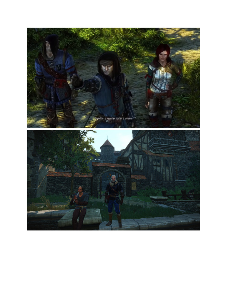 Witcher 3 Roche meets Iorveth Guide | PDF