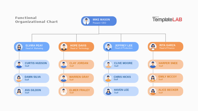Functional Organizational Chart: Mike Mason | PDF