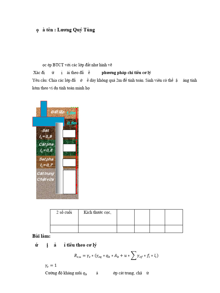 Ex5-SCT THEO CHI TIEU CO LY - LUONG QUY TUNG | PDF