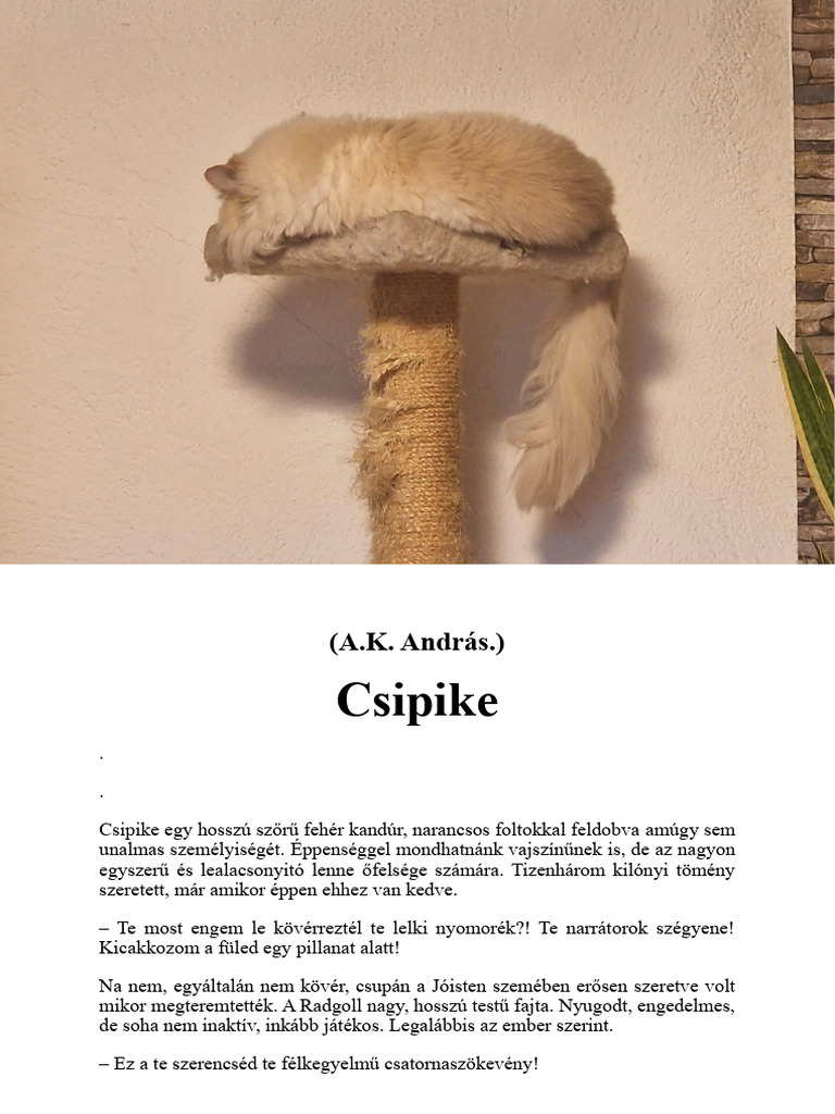 A.K. András. - Csipike | PDF