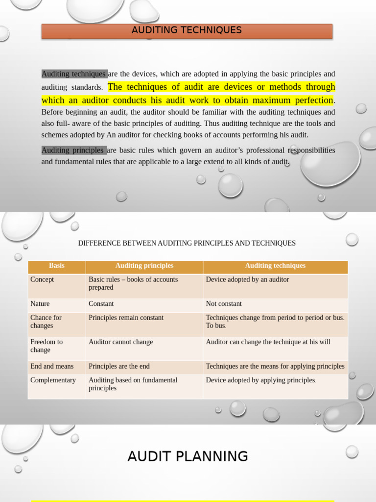 Auditing Techniques | PDF | Audit | Auditor's Report