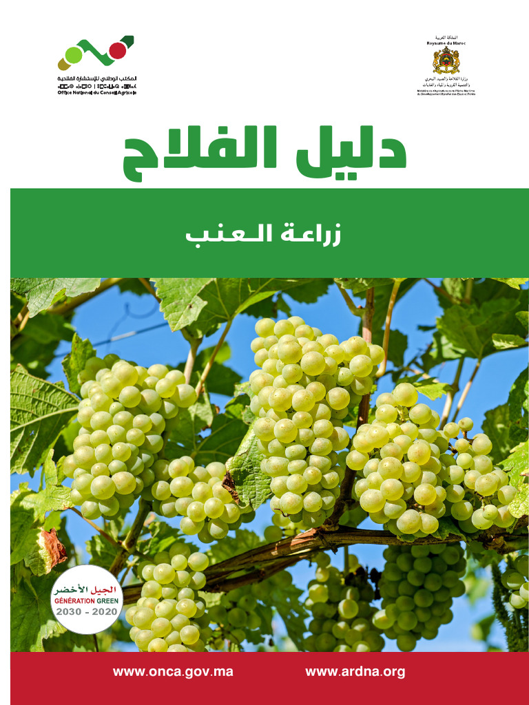 Ticket File6214bfd3324b5 Raisins Ardna | PDF