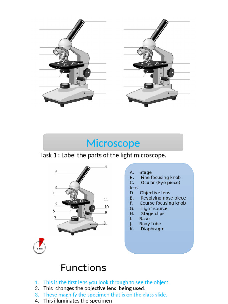 Magnification and Units of Measurement | PDF | Microscope | Equipment