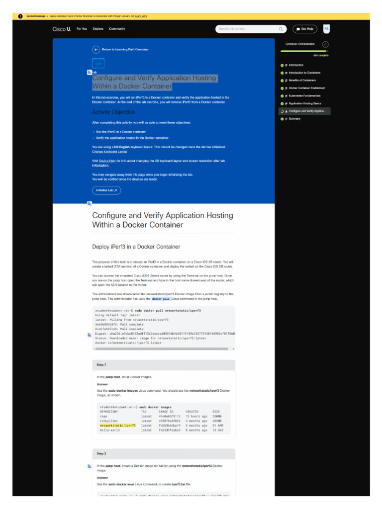 Lab - Configure and Verify Application Hosting Within A Docker Container | PDF