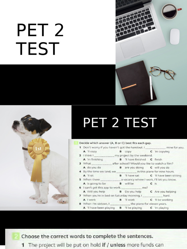 Pet 2 Test | PDF