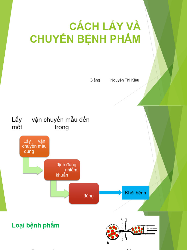 TH Cach Lay Va Chuyen Benh Pham | PDF