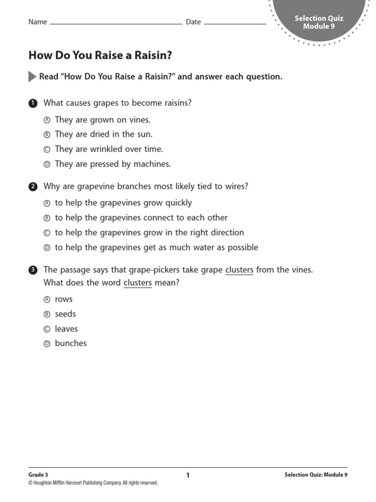 How Grapes Become Raisins Quiz | PDF