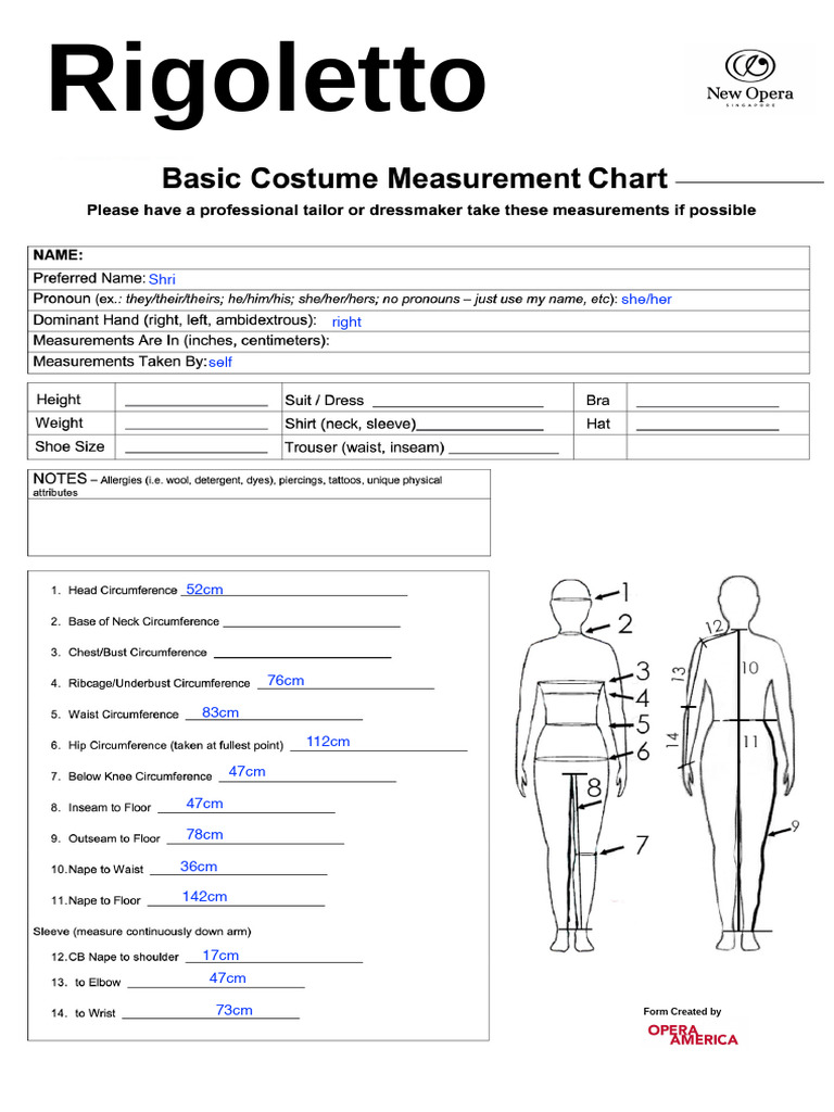 Measurement Form | PDF