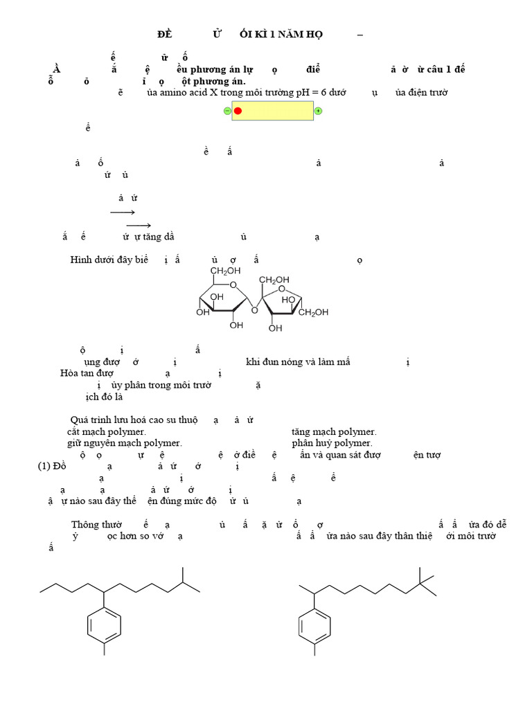 ĐỀ KTCK 1 THỬ (HS) | PDF