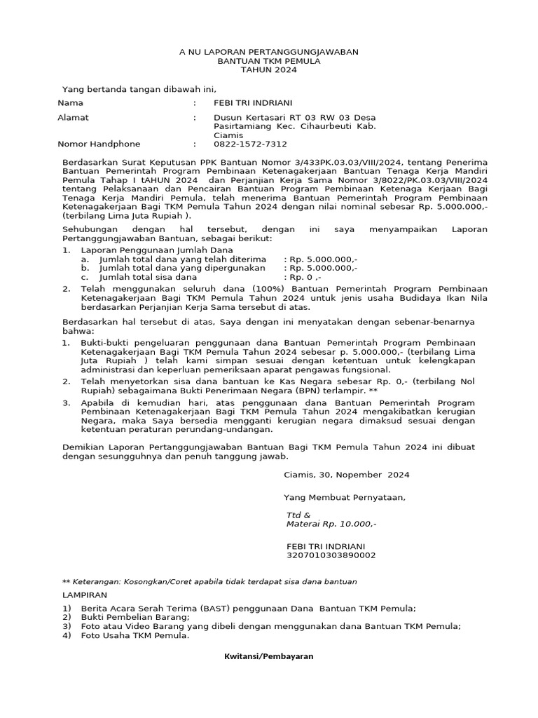 Laporan Tanggung Jawab Bantuan TKM 2024 | PDF