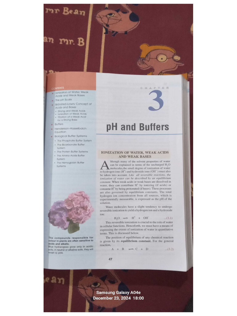 PH & Buffers. | PDF
