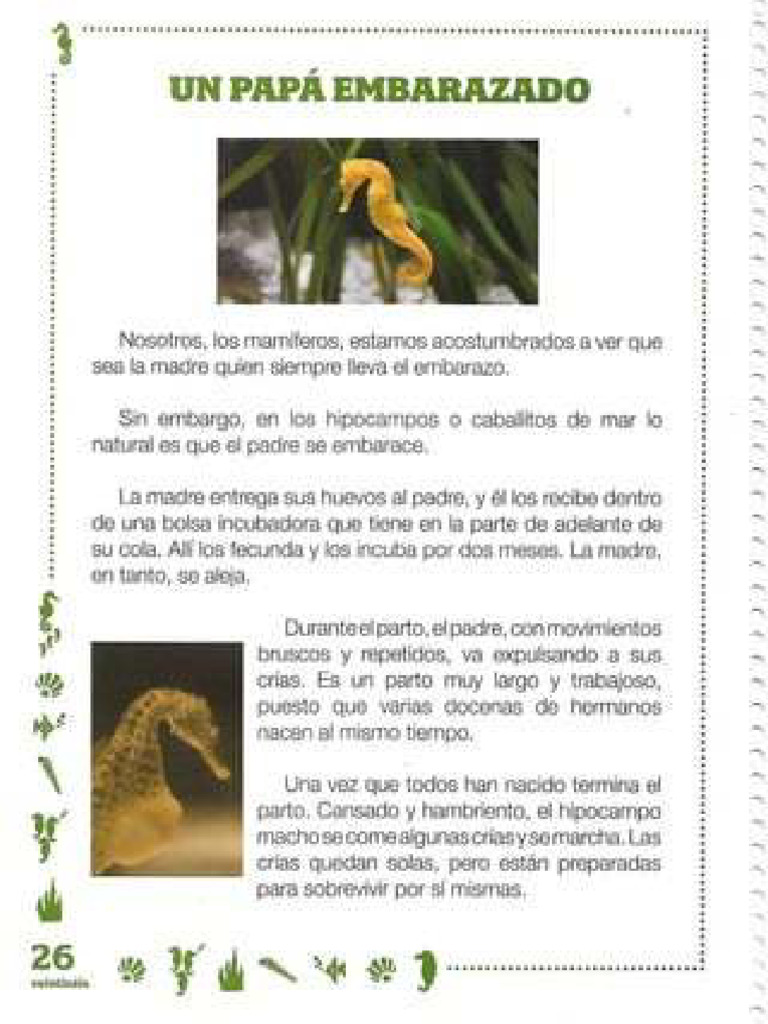 Caballito de Mar | PDF