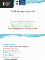 IV Fluid Rate Guidelines in Dogs and Cats Cheat Sheet.01 | PDF ...
