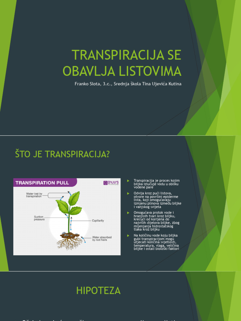 Transpiracija Se Obavlja Listovima | PDF