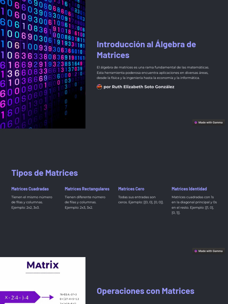 Introduccion Al Algebra de Matrices | PDF | Matriz (Matemáticas ...