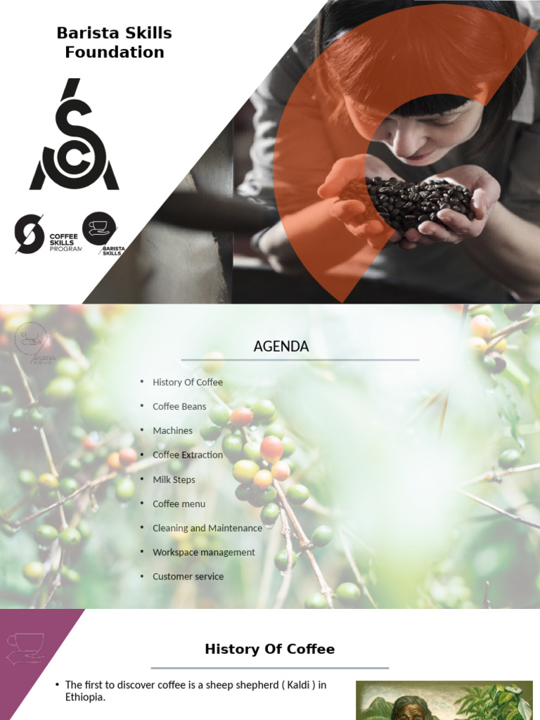 Barista Skills Foundation | PDF | Coffee | Drink