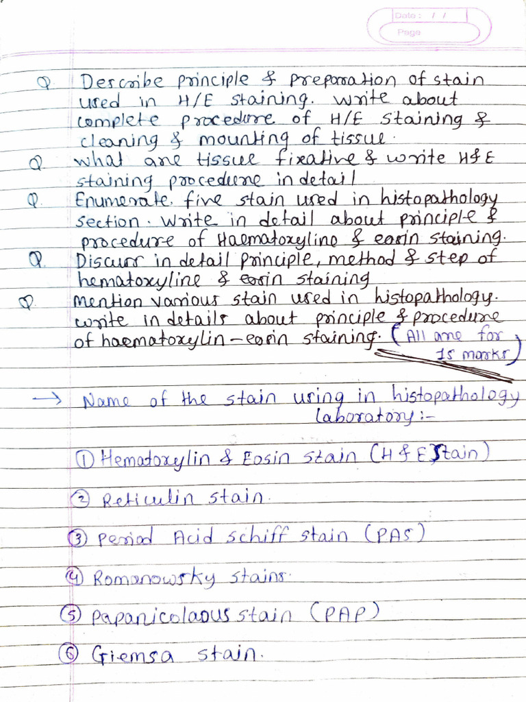 H&E Stain | PDF | Staining | Anatomy