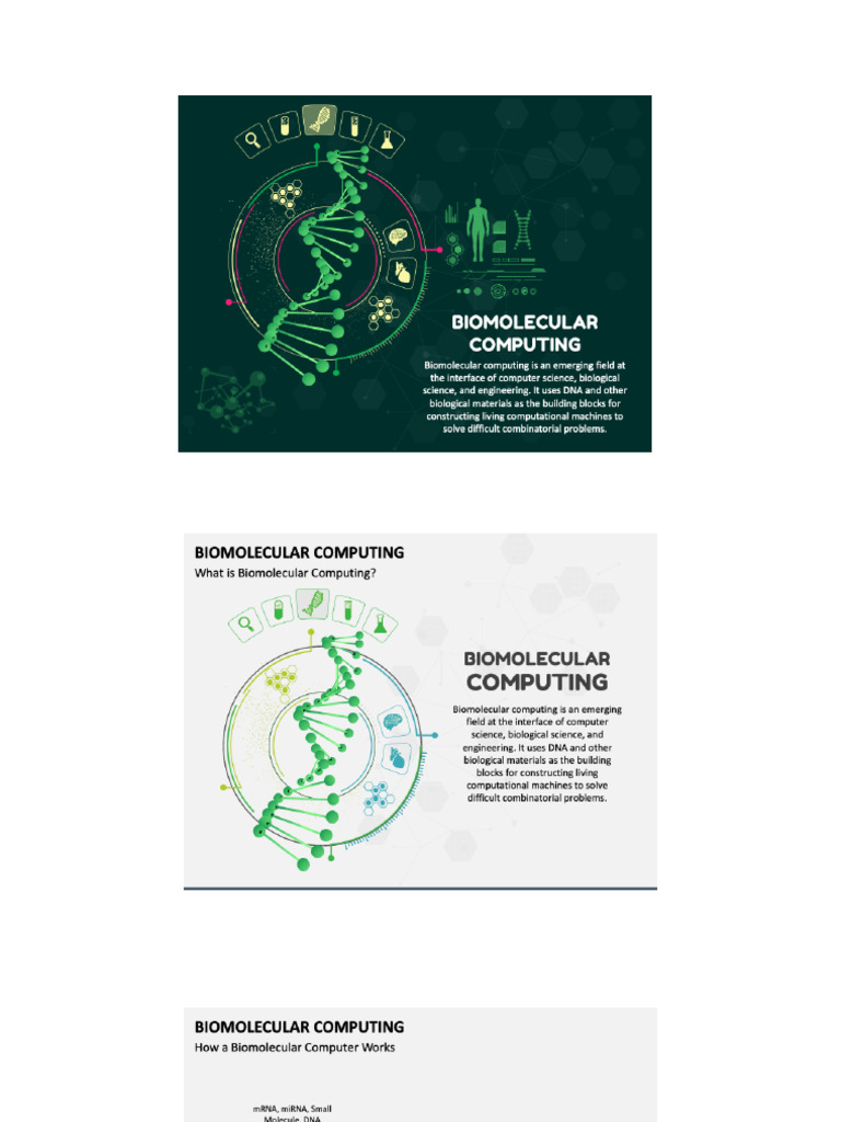 Bio-molecular Computer Overview | PDF