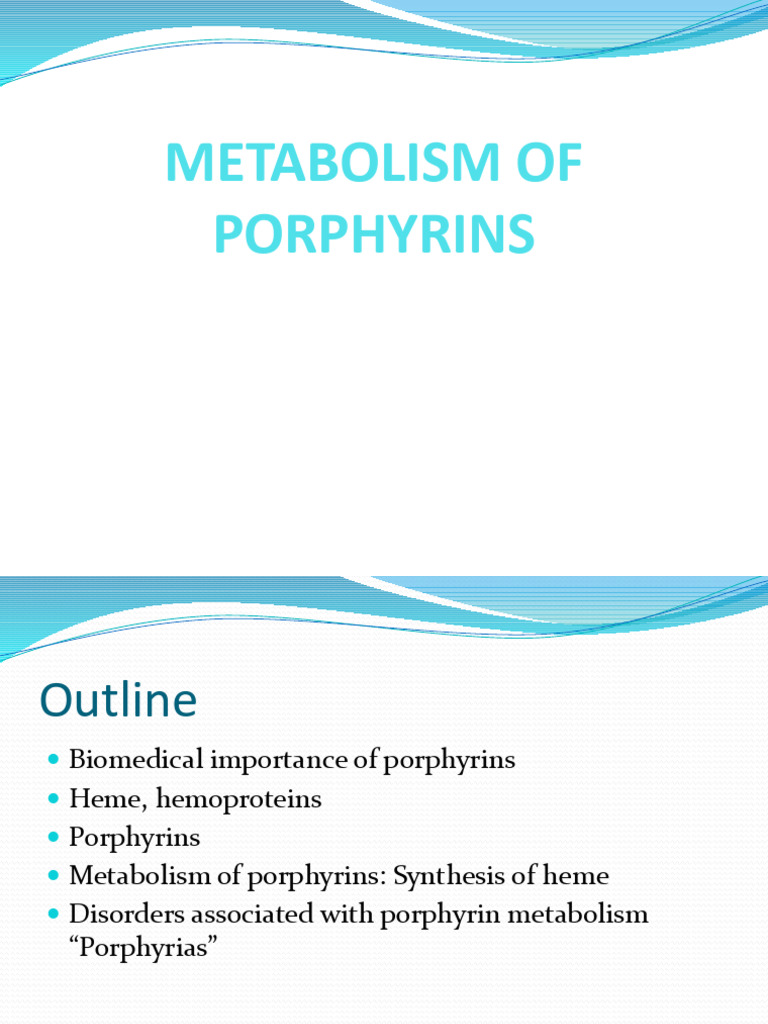 Metabolism of Porphyrins | PDF | Porphyrin | Biosynthesis