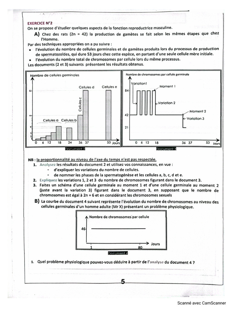Exercice Fon Ction Masculine Cor Rig | PDF