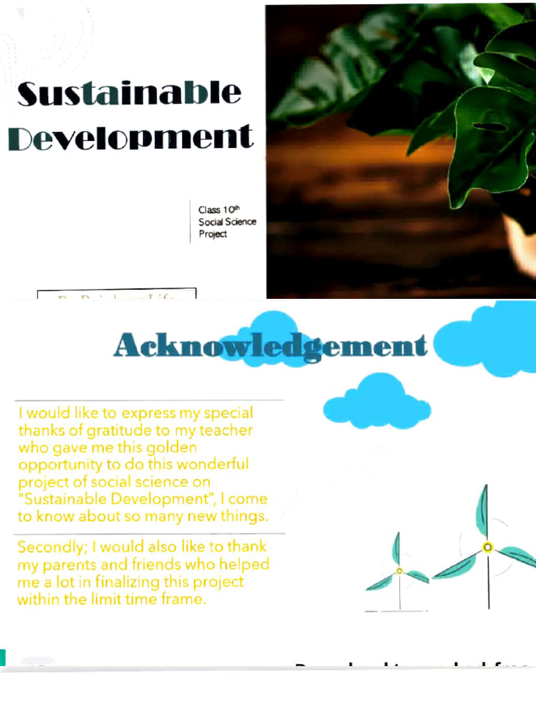 Sustainable Development Project | PDF | Sustainability | Sustainable ...